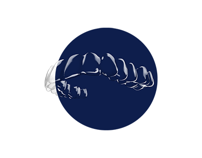 Ormco - Spark™ - Innovative & Advanced Clear Aligner System